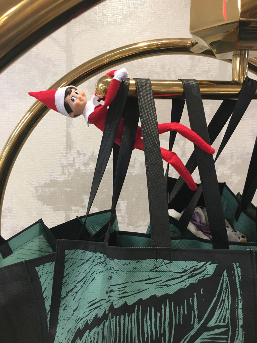 Thank You to No Forgotten Women from Cardi O. the Elf! - Willow Springs ...